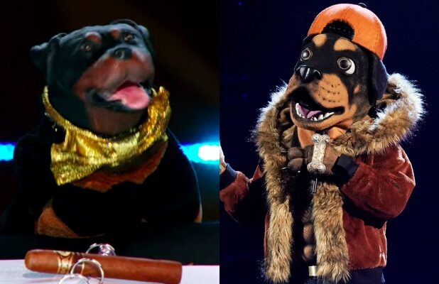 ‘Masked Singer': Triumph the Insult Comic Dog Claims The Rottweiler Is ...