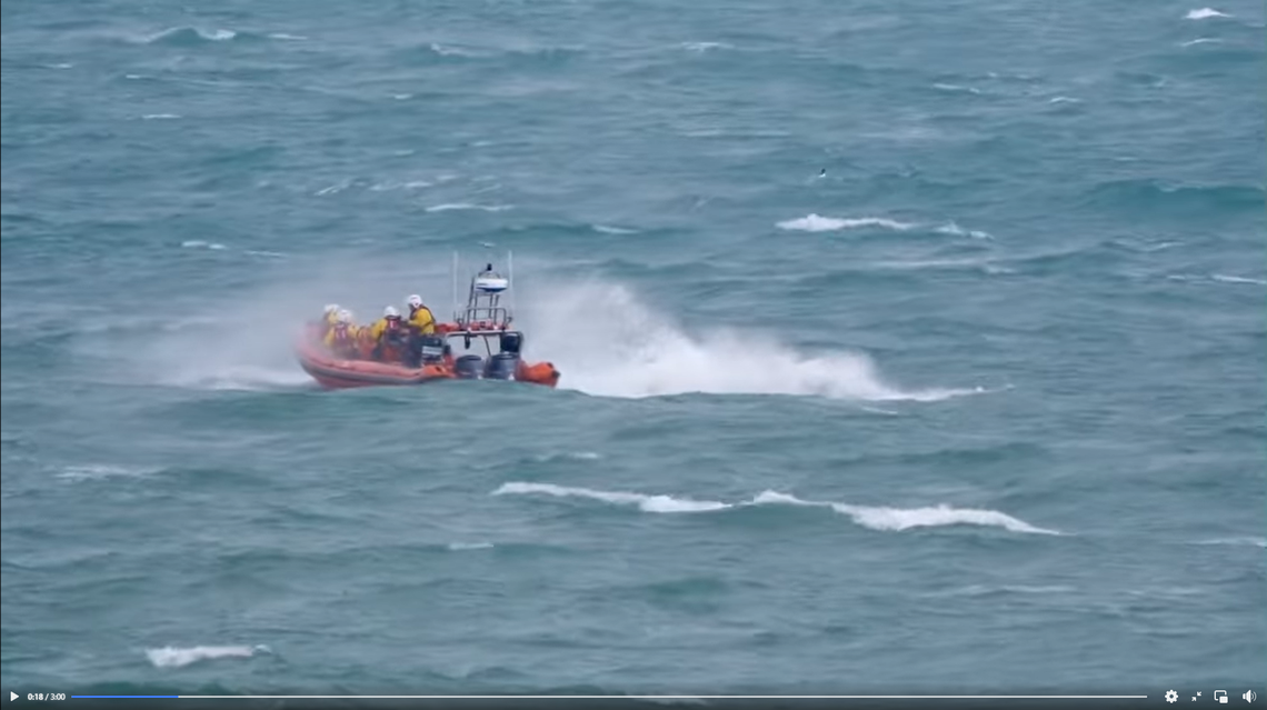 Tour boat spots massive sea creature tangled in ropes — then comes ...