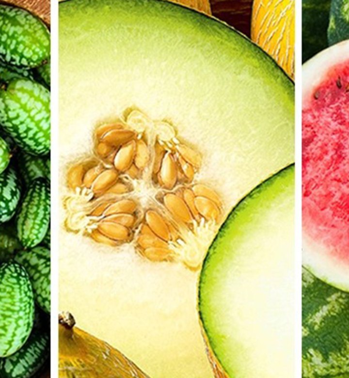 24 Types of Melons to Load Up on While They’re in Season