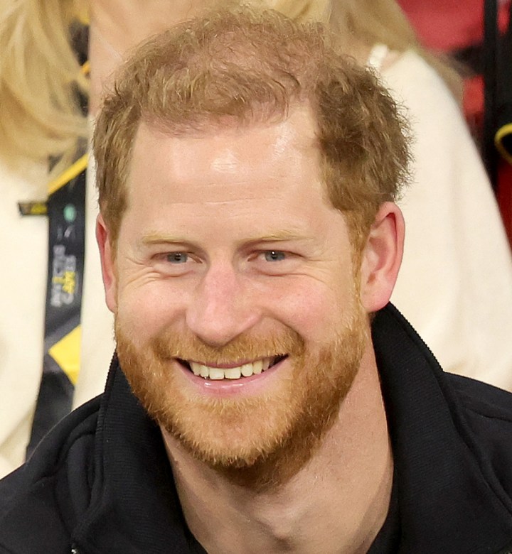 Gorgeous New Solo Portrait of Prince Harry Released After Netflix ...