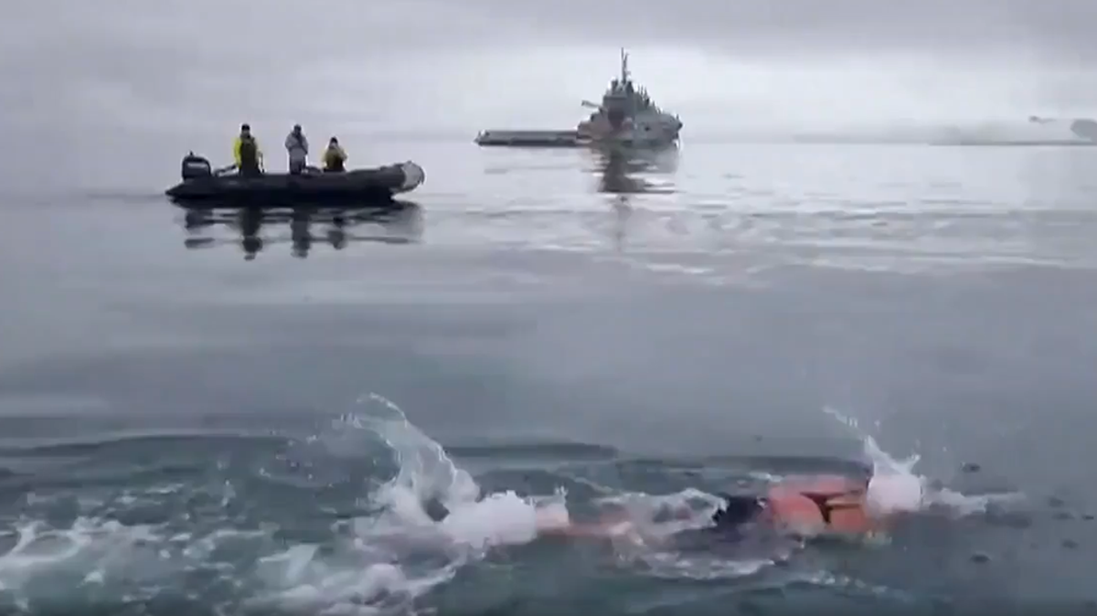 ‘Ice mermaid’ swimmer breaks two world records completing swim in Antarctic