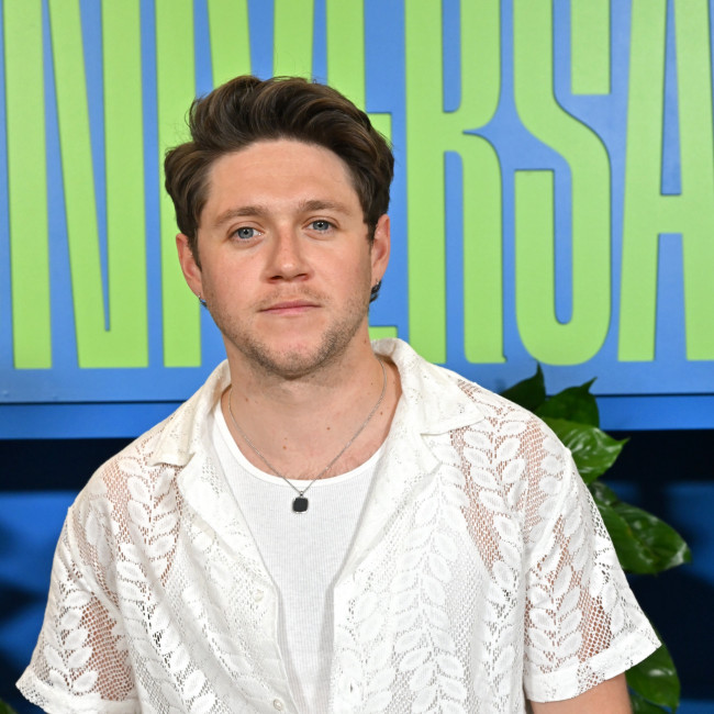 Niall Horan will 'never get used' to his fame