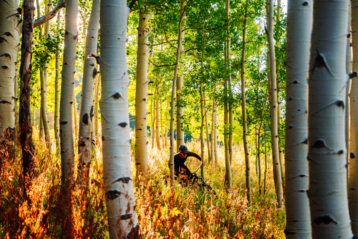 The 10 Most Scenic Bike Trails in the USA