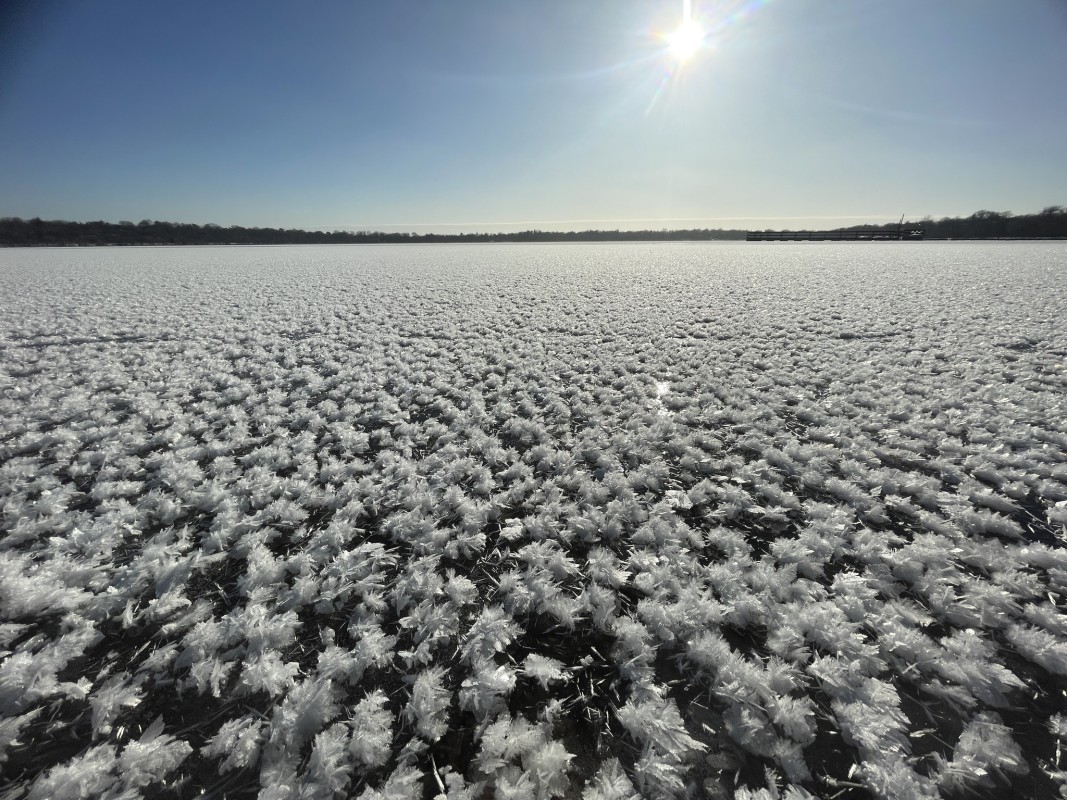 Behold the frost flowers: Rare phenomenon visits Lake Harriet