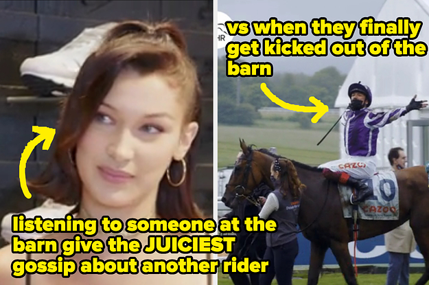 People Who Work In The Horse World, Tell Us Your Funniest Stories And ...