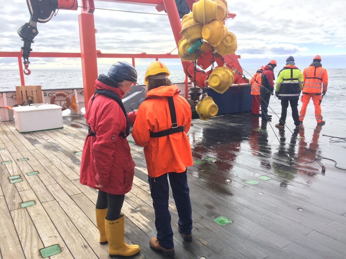 The Labrador Sea keeps the world's oceans alive. Scientists are now ...