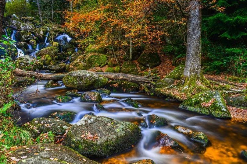 Iconic Dartmoor beauty spot with zoo and waterfall on market for £1.4M - Yahoo News UK