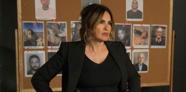 Law & Order: SVU season 25 adds new cast member
