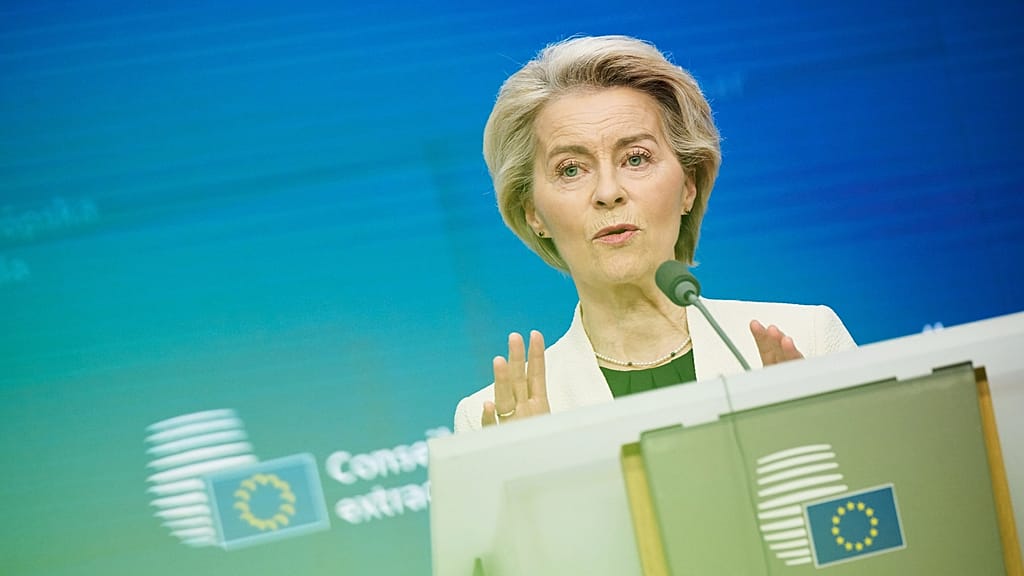 What we learned from Ursula von der Leyen's options paper to support Ukraine - Yahoo News UK