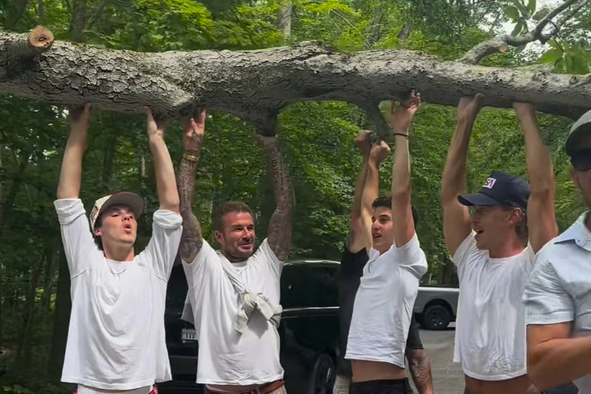 David Beckham, son Cruz and Elvis star Austin Butler remove tree from ...