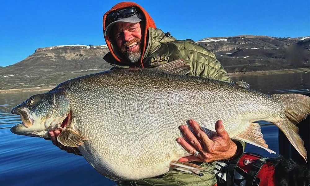 Fisherman catches big-bellied, world-record-size lake trout - Yahoo Sports