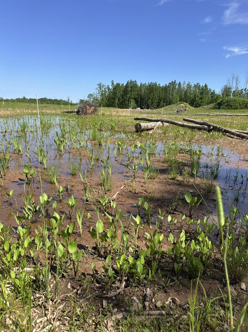 Highland Copper Provides Update on Michigan State Grant and Other ...