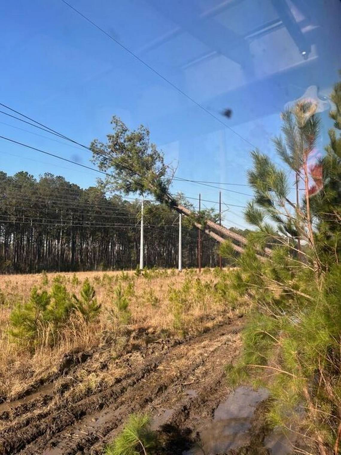 Tree-cutting mishap causes power outage for 7K in Beaufort County ...