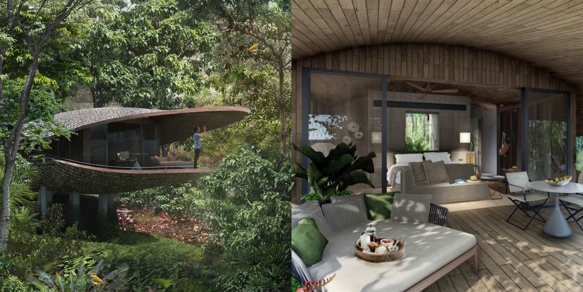 This Rainforest Resort Will Let Guests Sleep in Tree Houses Shaped Like ...