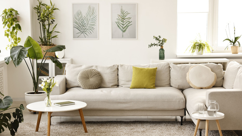 The Best Spot In The House For Your Indoor Plant, According To Feng Shui's Bagua Map - Yahoo ...