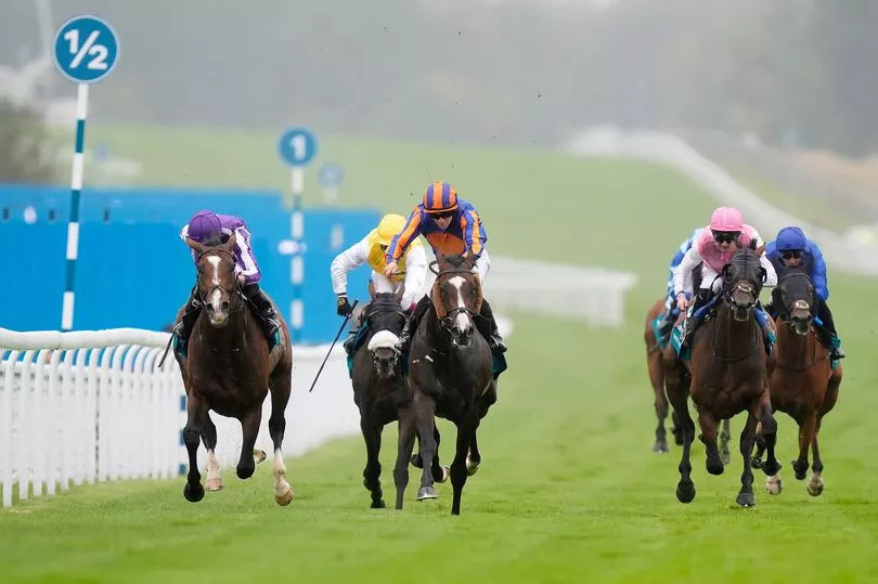 Glorious Goodwood 2025: Scandinavia beats stable-mate Illinois to win the Goodwood Cup - Yahoo ...