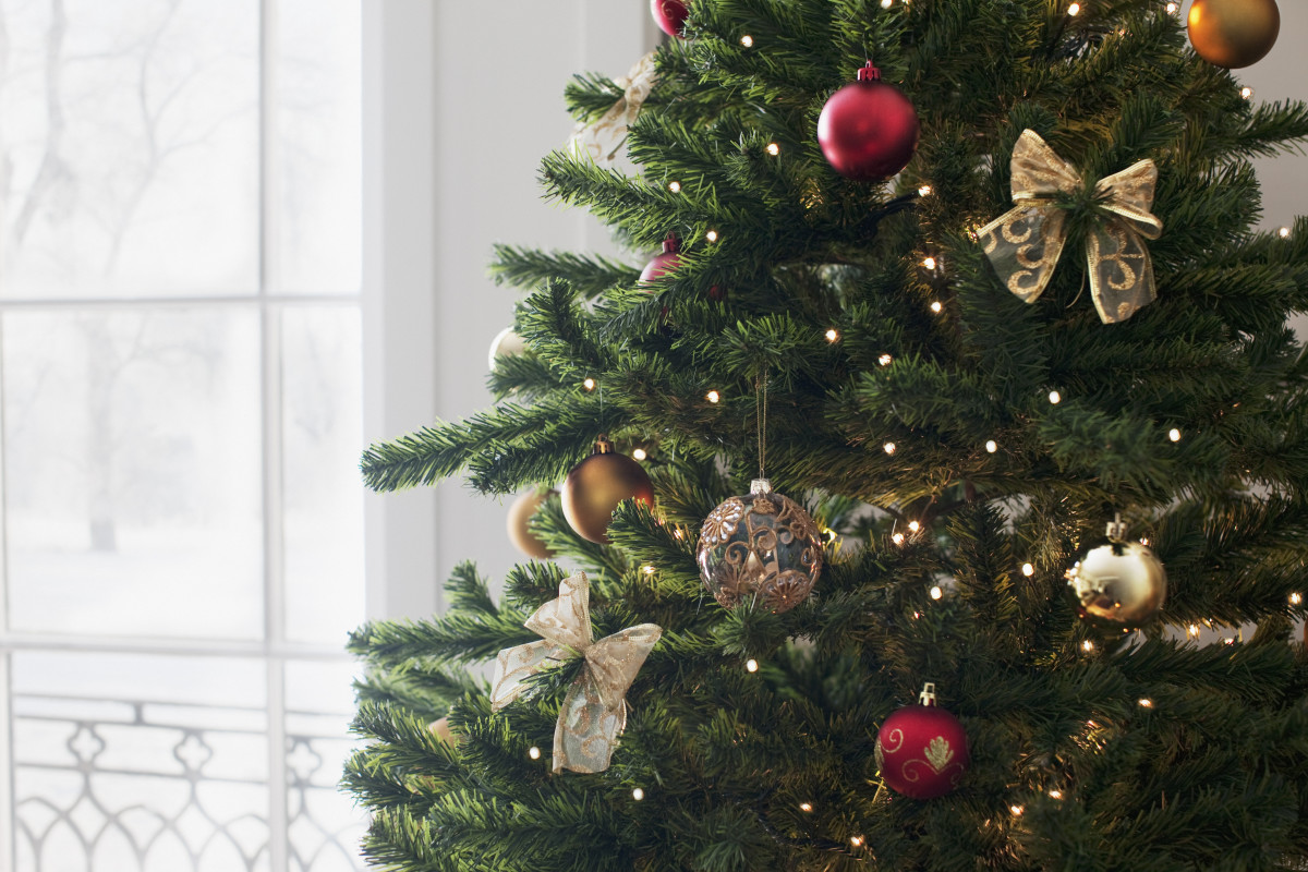 'Christmas Tree Syndrome' Could Make Your Holidays Hell. Here's ...
