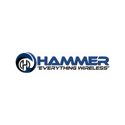 Hammer Fiber Optics Holdings Corp Hires Financial Services Veteran to ...
