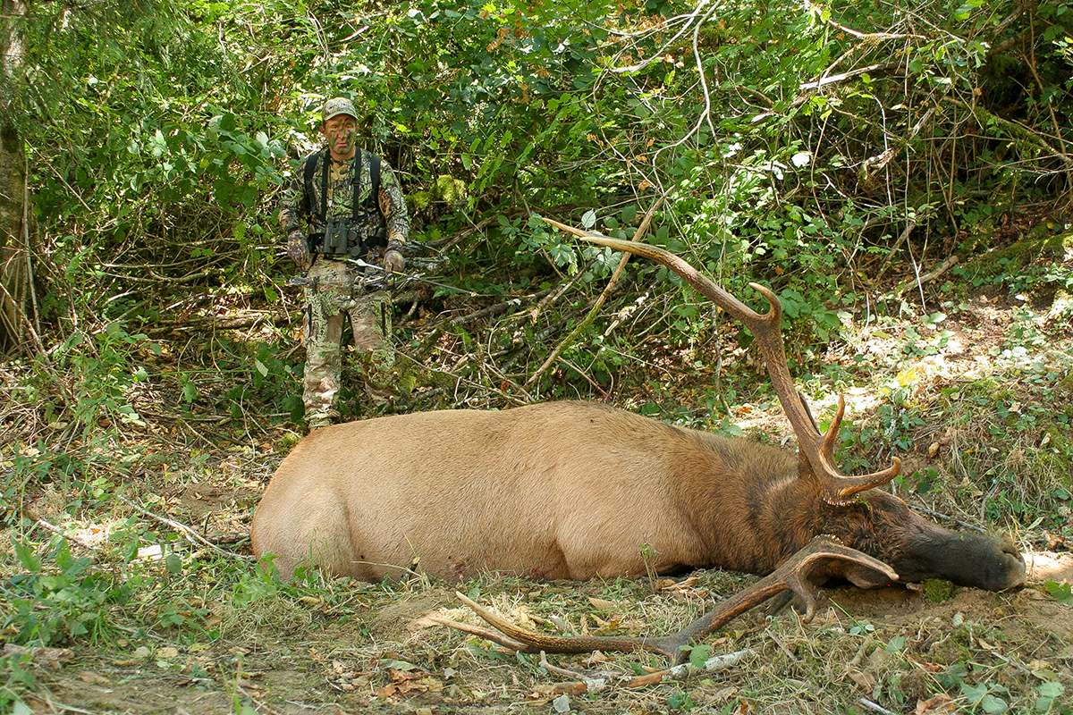 Lessons Learned from a Lifetime of Elk Hunting Adventures