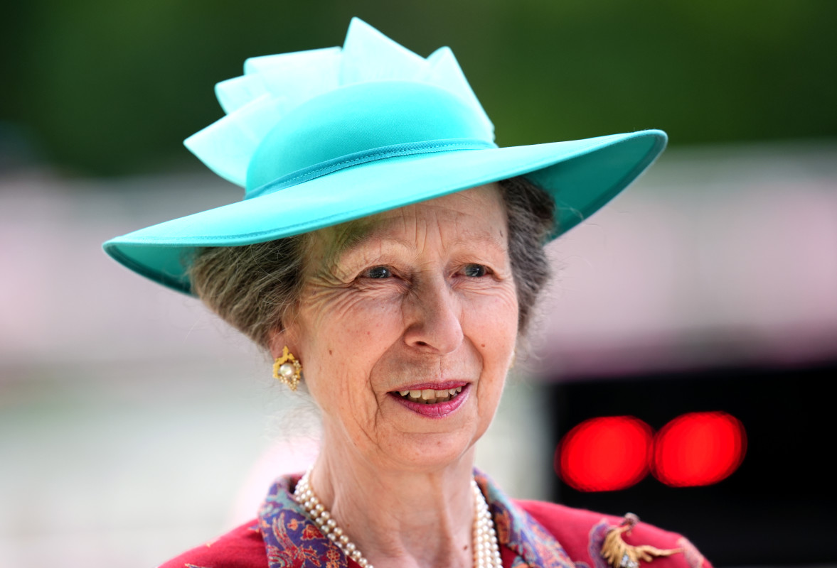 Princess Anne Makes Startling Confession About Incident That Left Her ...