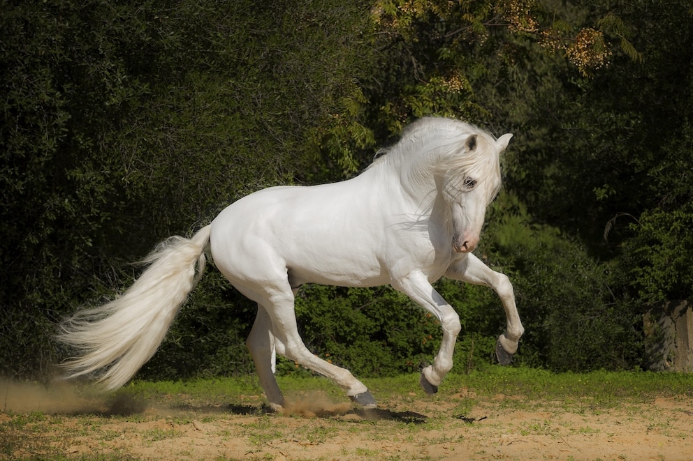 Andalusians: Proud Spaniards with Fire and Grace - Yahoo News UK