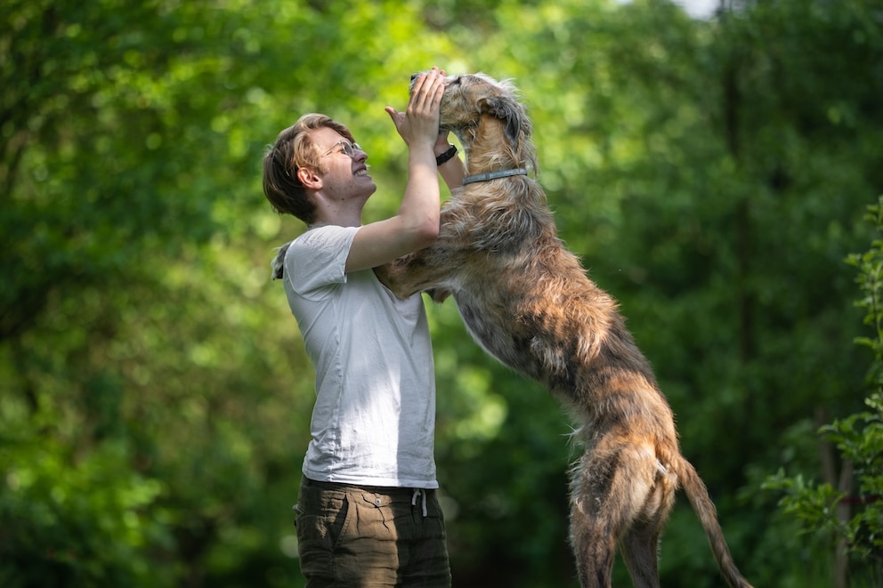 The 14 Largest Dog Breeds in the World - Yahoo News UK