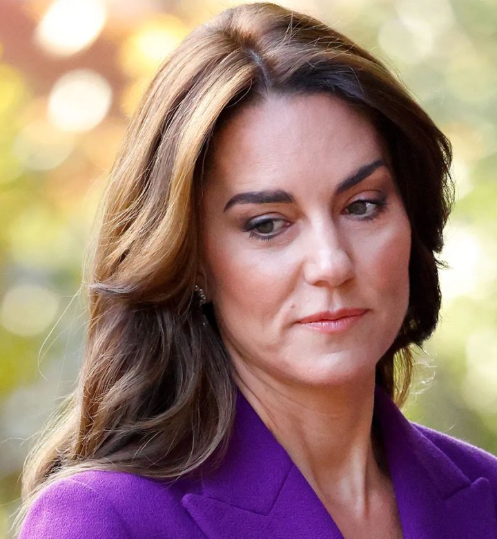 I'm a Royal Reporter and I'm Convinced Today's Princess Anne News Is a ...