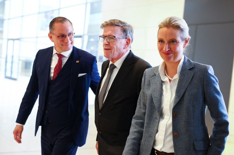 Germany's far-right AfD tops poll for first time in blow to chancellor ...