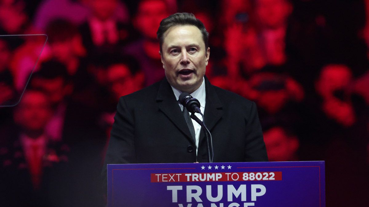 Fact Check: Musk post saying protesters against Trump 'should go to ...