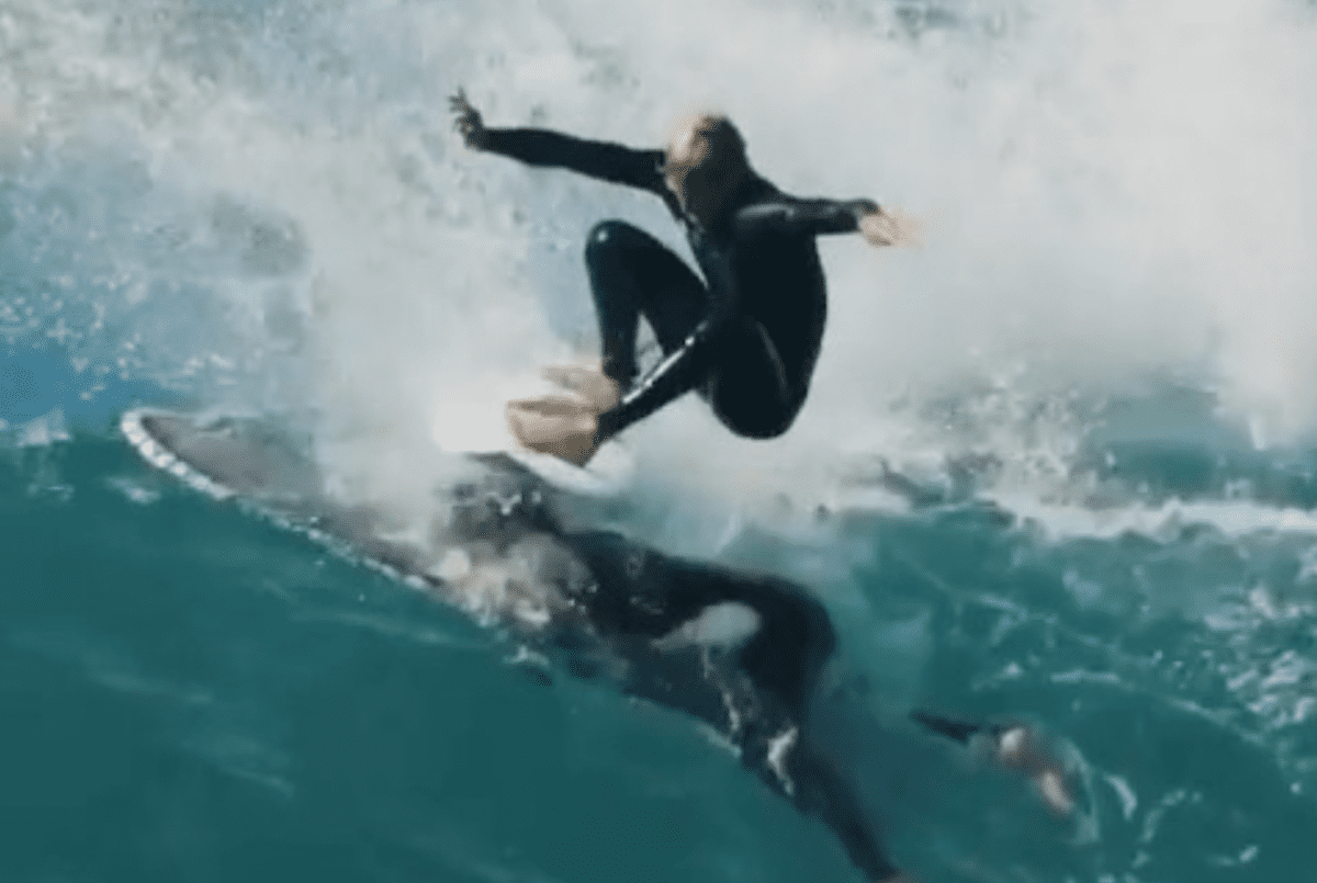 Video: Surfer Ollies Longboarder Mid-Wave