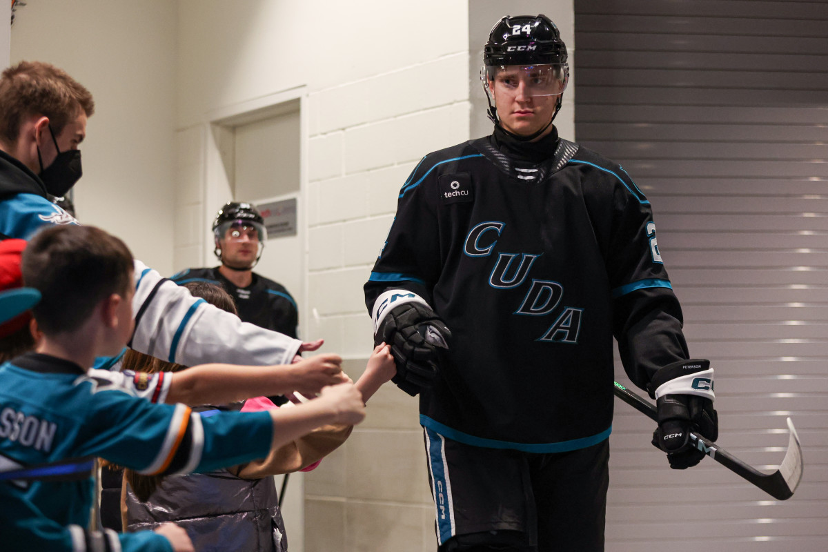 AHL Mandates Neck Protection; Barracuda Must Wear Neck Guards All ...