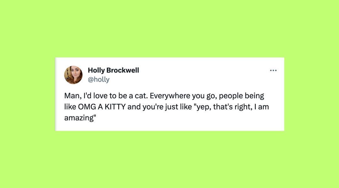 24 Of The Funniest Tweets About Cats And Dogs This Week (Jan. 6-12 ...