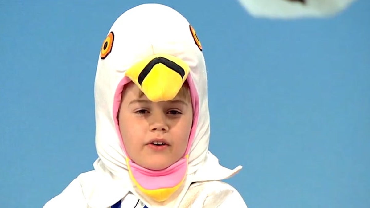 ‘Seagull Boy’ performs uncanny winning impression live on TV - Yahoo ...
