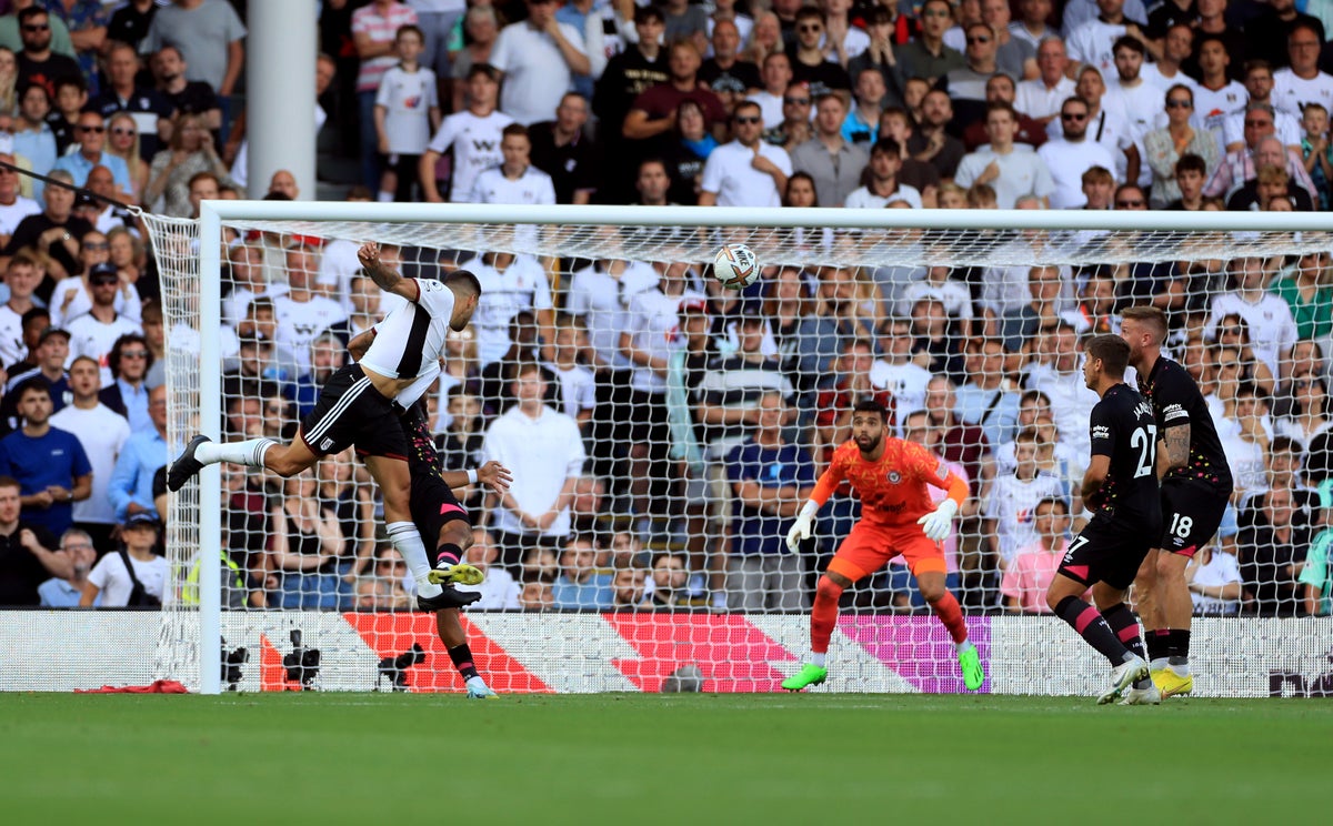 Aleksandar Mitrovic nets last-gasp winner as Fulham edge out rivals ...