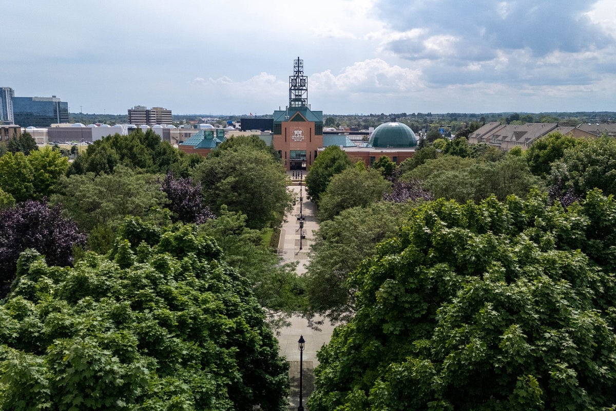 City council Zoom meeting hacked in ‘racist, pornographic nightmare ...