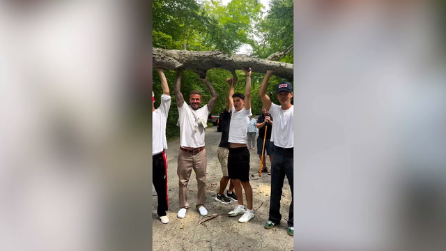 David Beckham and son Cruz join actor Austin Butler to lift fallen tree ...