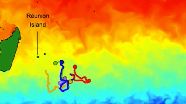 Video shows possible path of debris from lost Malaysian Airlines flight ...