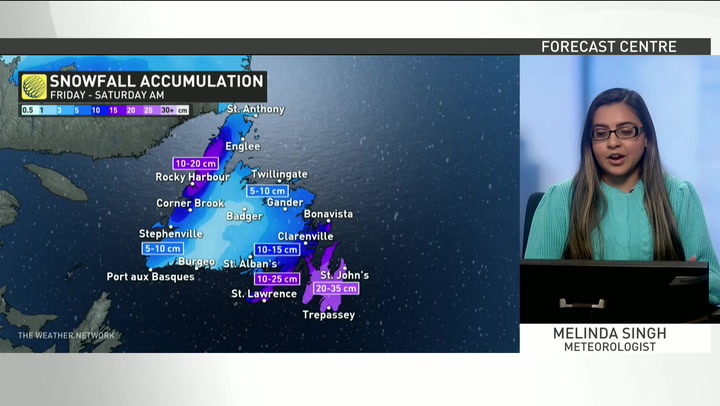 Winter storm threatens to disrupt travel in Newfoundland