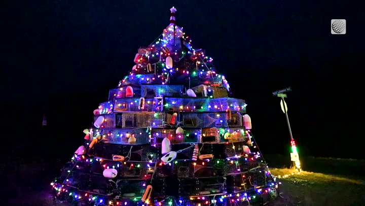 Oh lobster tree! Only in Atlantic Canada can you find a tree like this