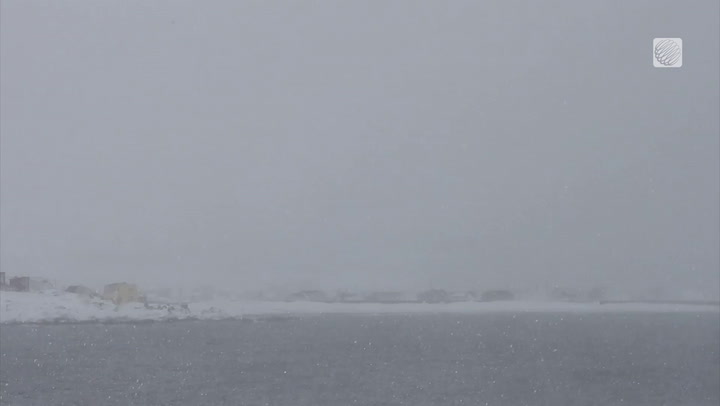 Winter storm hits parts of Newfoundland