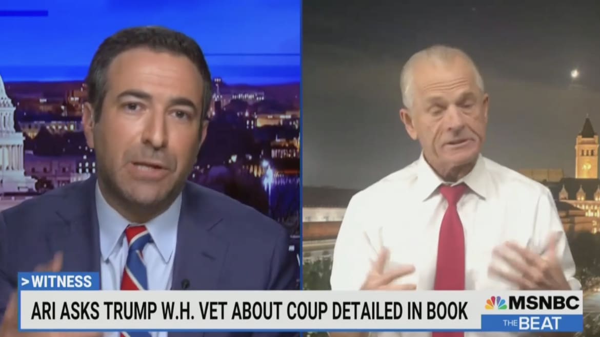 MSNBC Host and Trump Adviser Peter Navarro Spar in Bonkers Interview ...