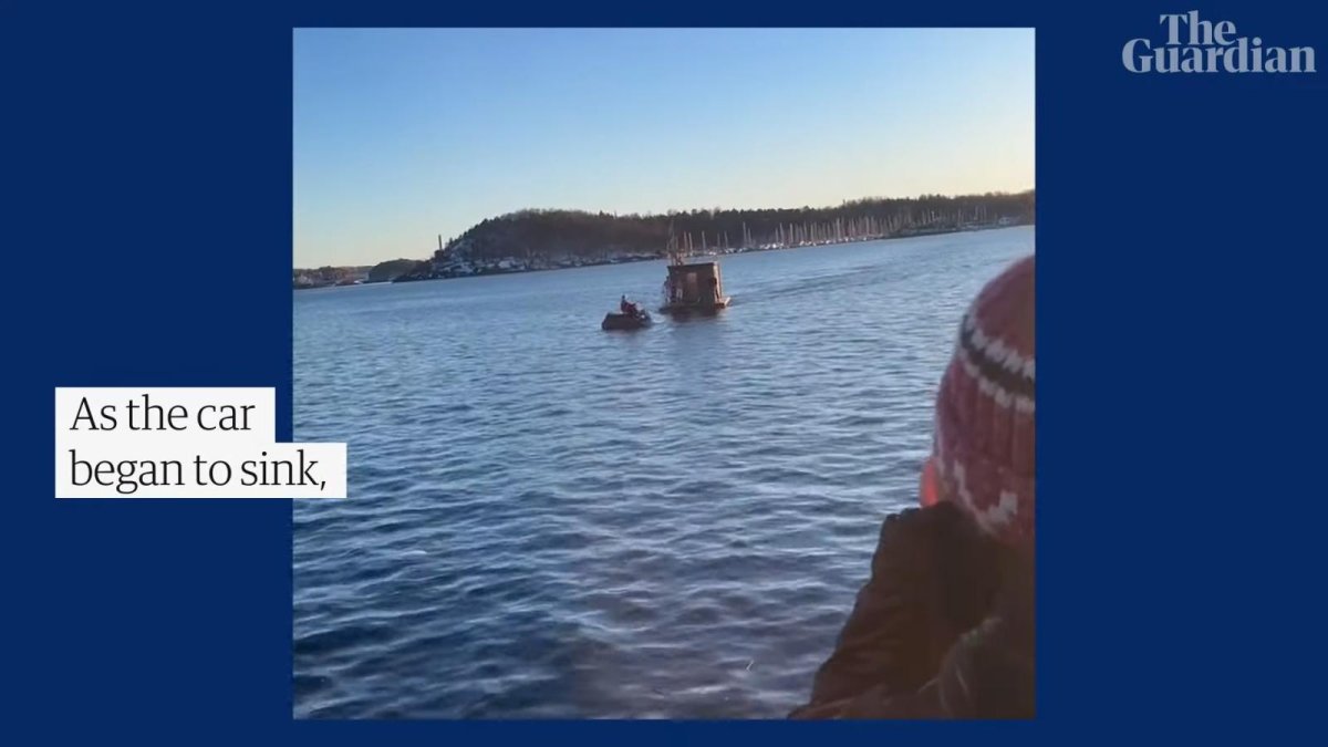 Watch: Tesla plunges into Norwegian fjord, occupants rescued by ...