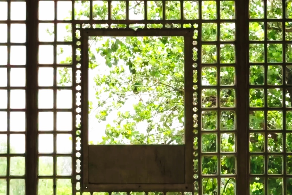 ‘Comedians in Bars,’ ‘Dispatch’ Lead Avani Films’ New Non-Fiction Slate (EXCLUSIVE) - Yahoo News ...