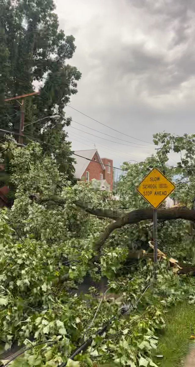 Storm-Scattered Tree Limbs Litter College Park