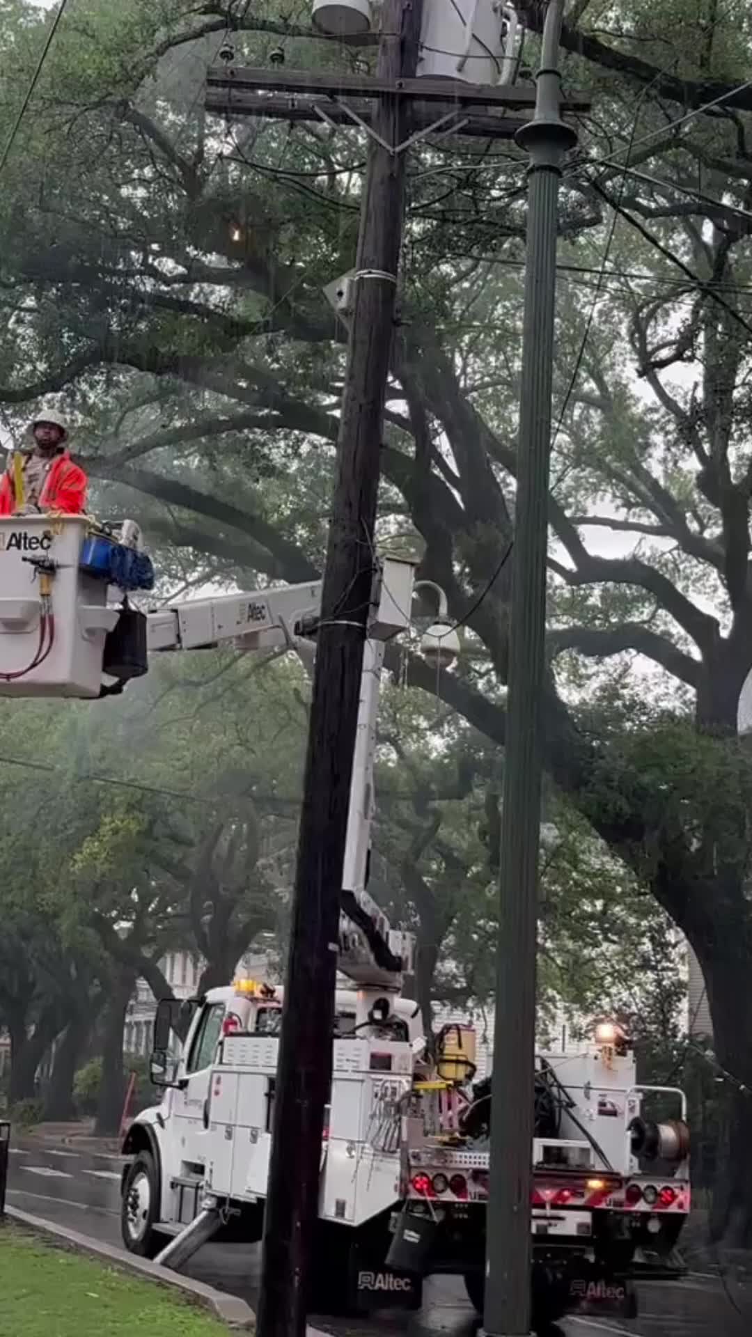 Tree catches fire during severe weather on St. Charles Avenue
