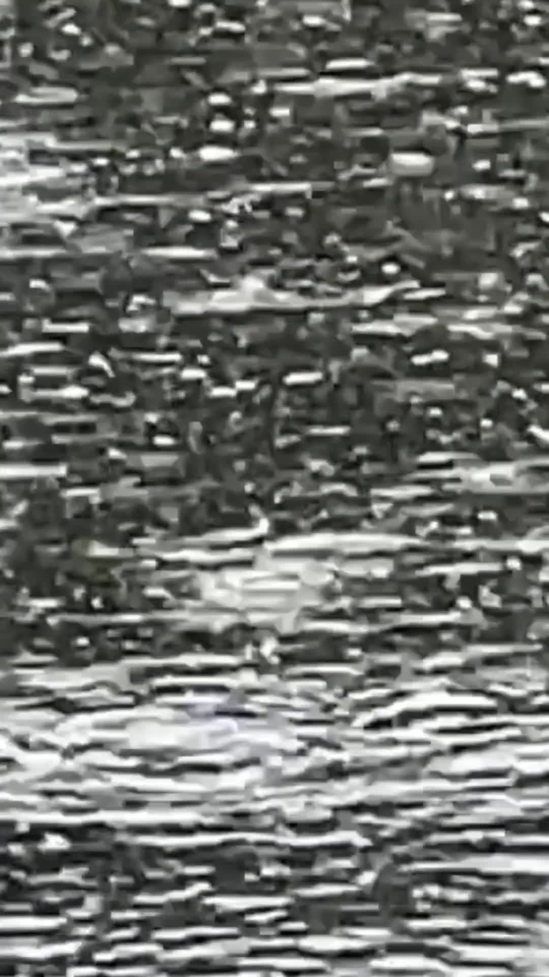 Severe storms and summer camp safety in North Carolina; what you should ...