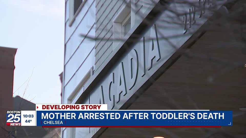 ‘A tragedy beyond words’: Chelsea mother facing charges in connection ...