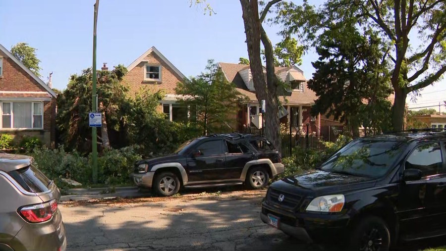 Chicago crews tend to ‘hundreds’ of tree emergency calls after Sunday ...