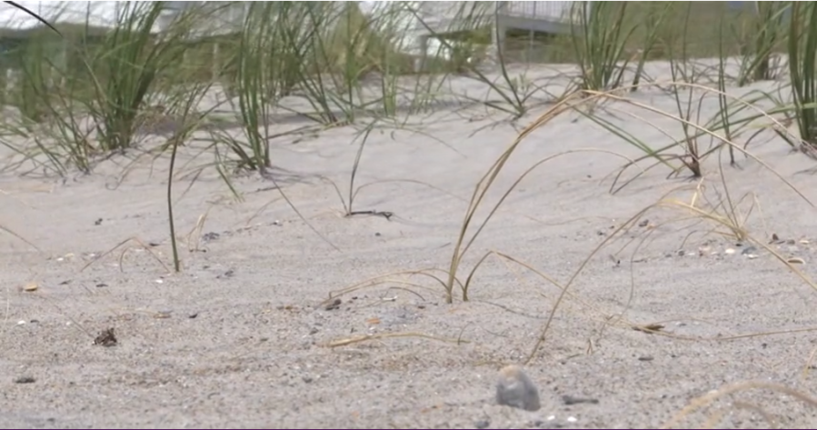 Town of Emerald Isle flies yellow beach flag on Fourth of July