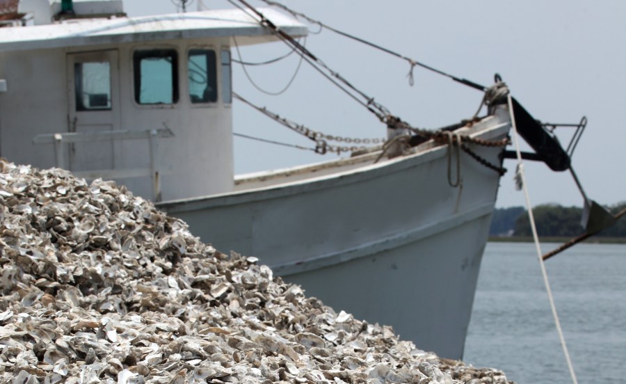 South Carolina shellfish harvesting season closing